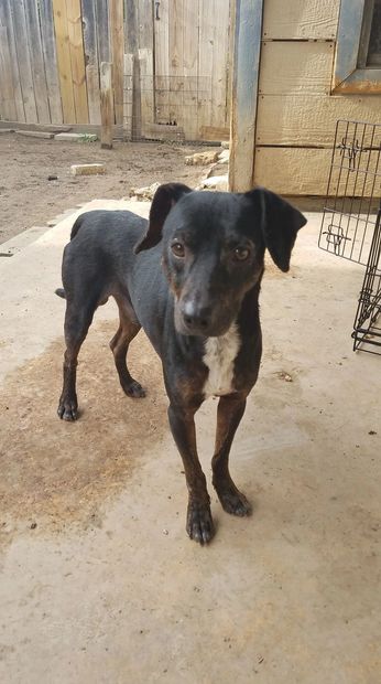 Who we are | A Place For Ace