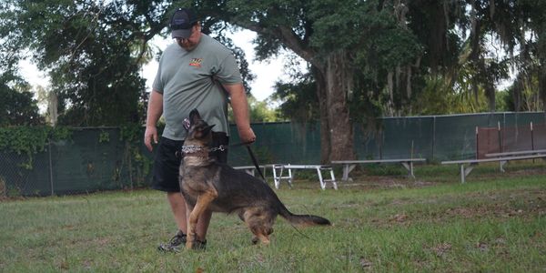 Southwest Florida K9 Services