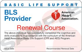 BLS Renewal Class Course Online | Hands on