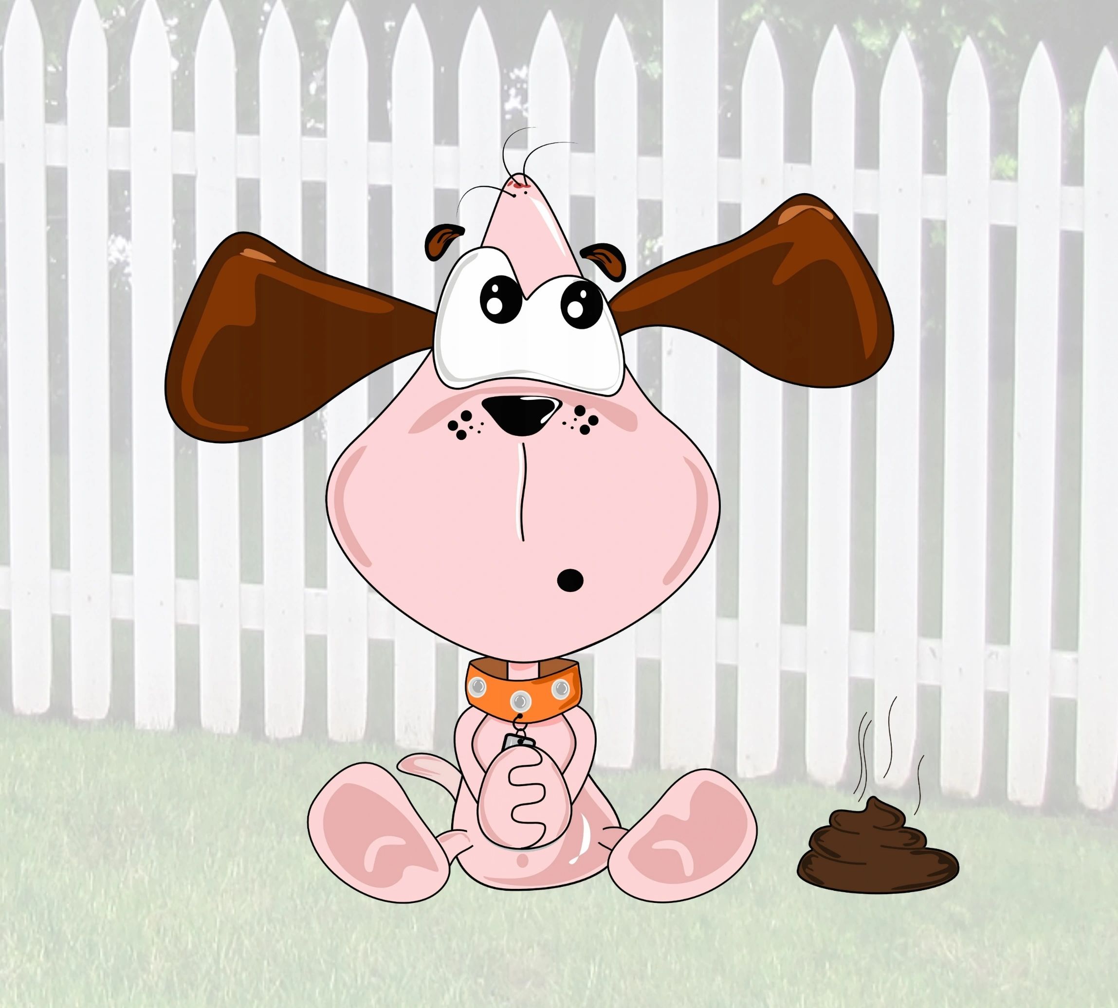 Scoopy Doo Pet Poo Removal - Pooper Scooper, Dog Waste Removal