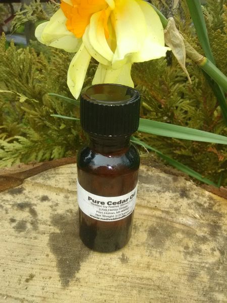 Cedar Essential Oil