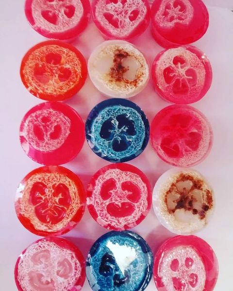 Loofah Soap | Small Farm Grown Loofah Inside A Soap | Natural Loofah ...