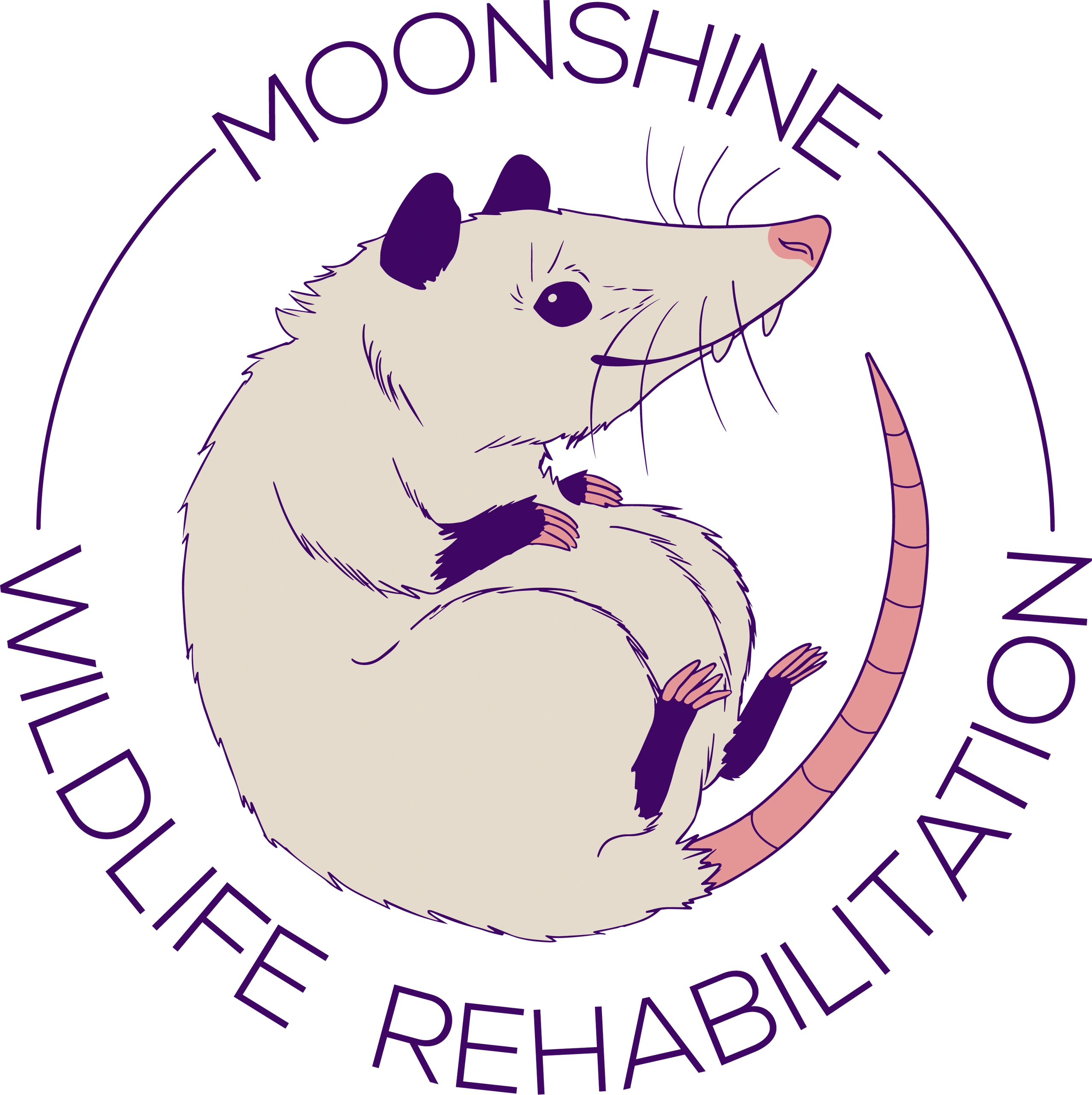 Wildlife Rehabilitation - MoonShine Wildlife Rehabilitation