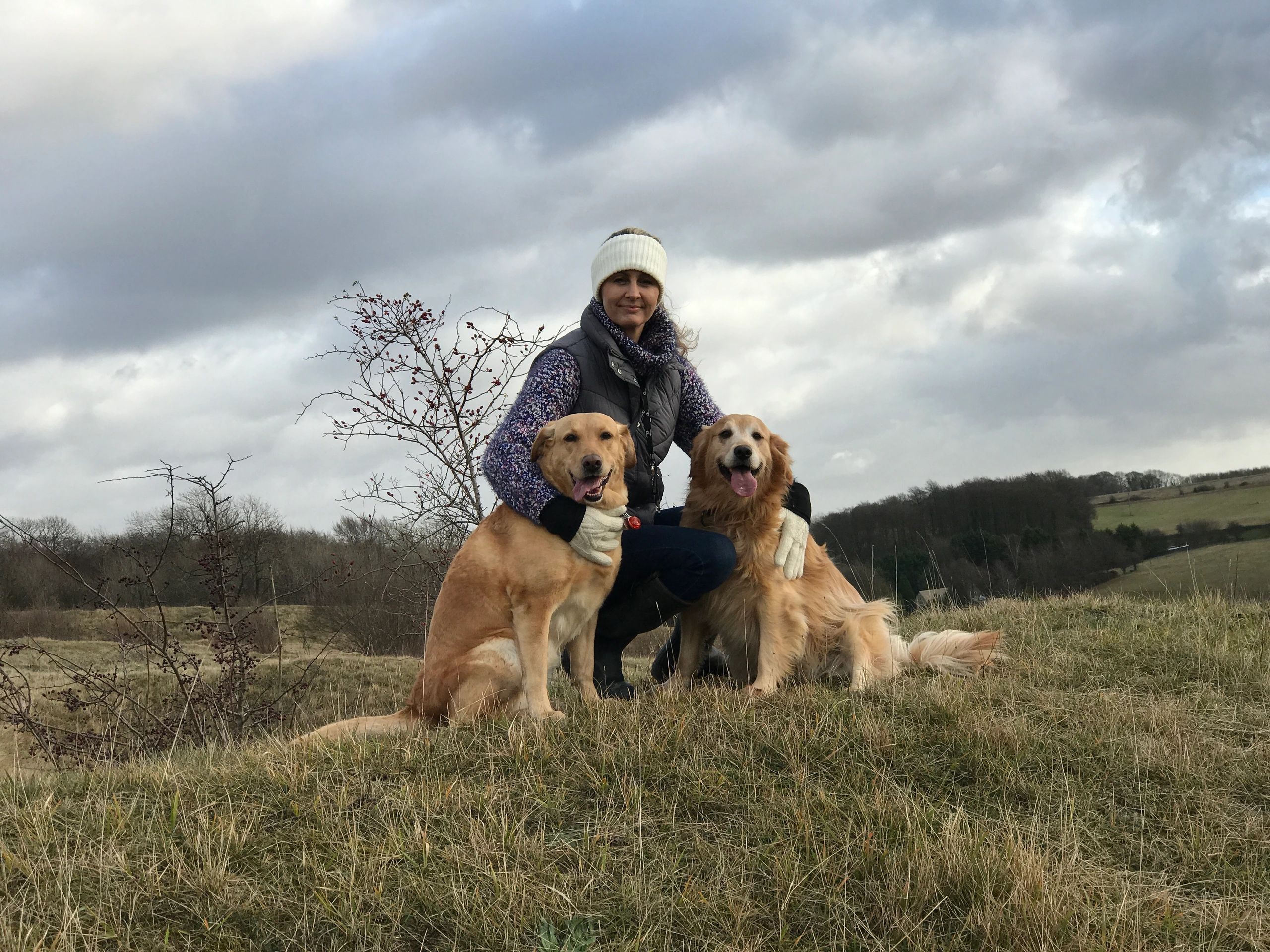 DOG WALKING SERVICE | Sarah's Scallywags