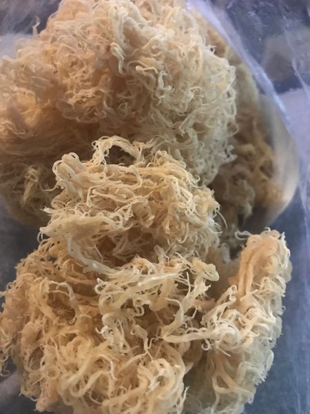 Wildcrafted dried Sea Moss (Irish Moss)