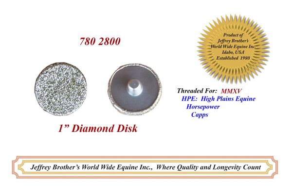 Diamond Plated Disk Regular 1" Diameter, 1/4" x 28 Thread, 24 Grit