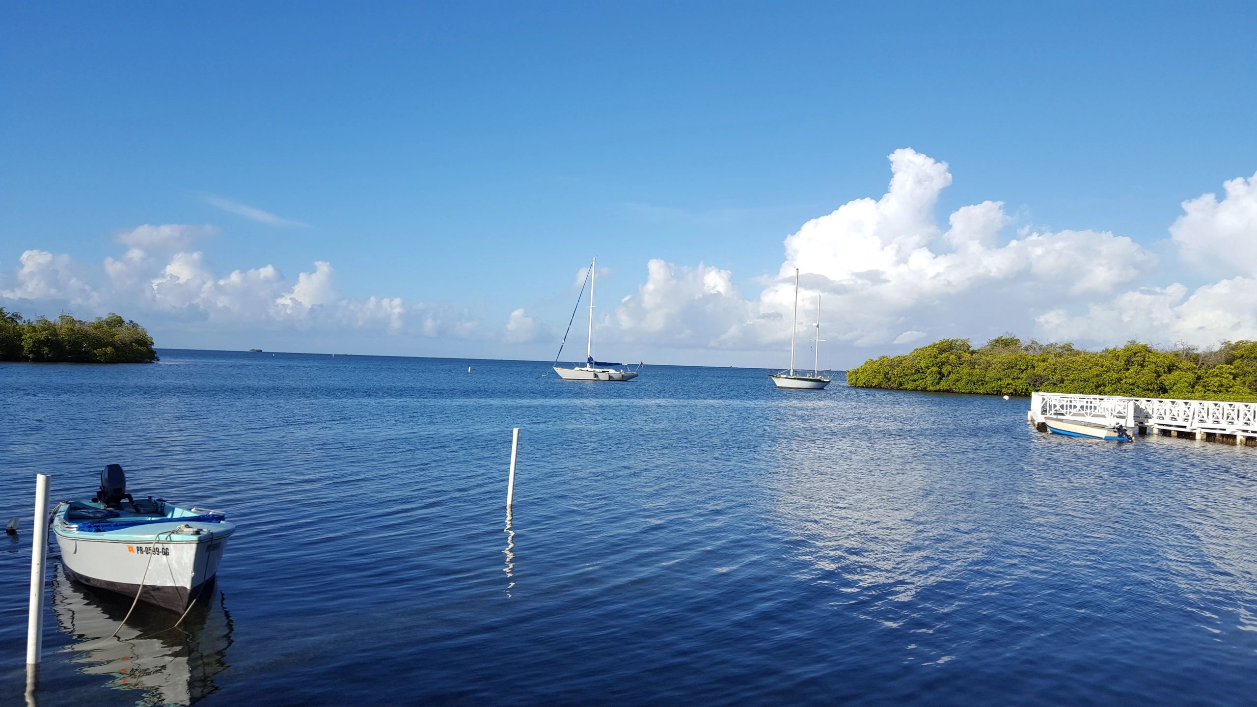 DEBJANI SINHA, PH.D., LLC