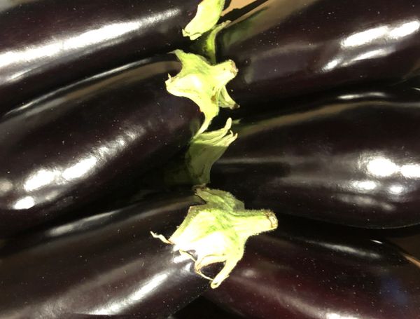 Aubergine
