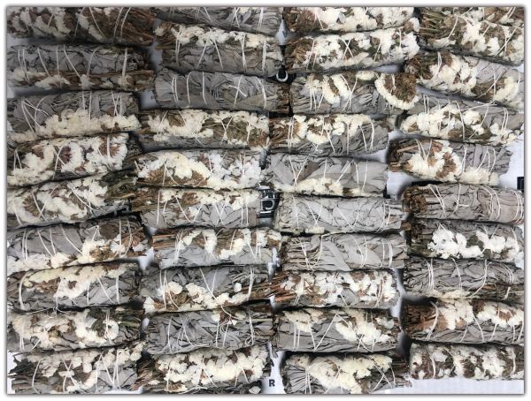 Wholesale White Sinuata + White Sage 4 Inch (100 Pieces)