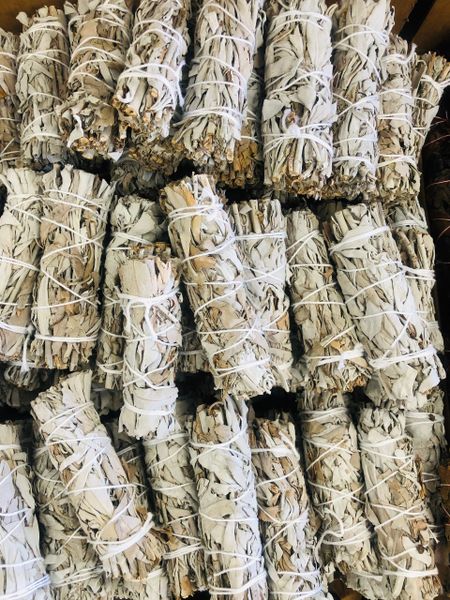 Wholesale White Sage 4 Inch (100 Pieces)
