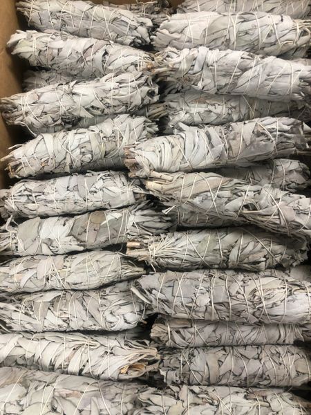 Wholesale White Sage 5-6 Inch (100 Pieces)