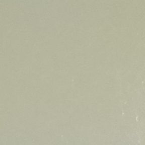 6939 New Lime/Light Ivy Yellow Lacquer