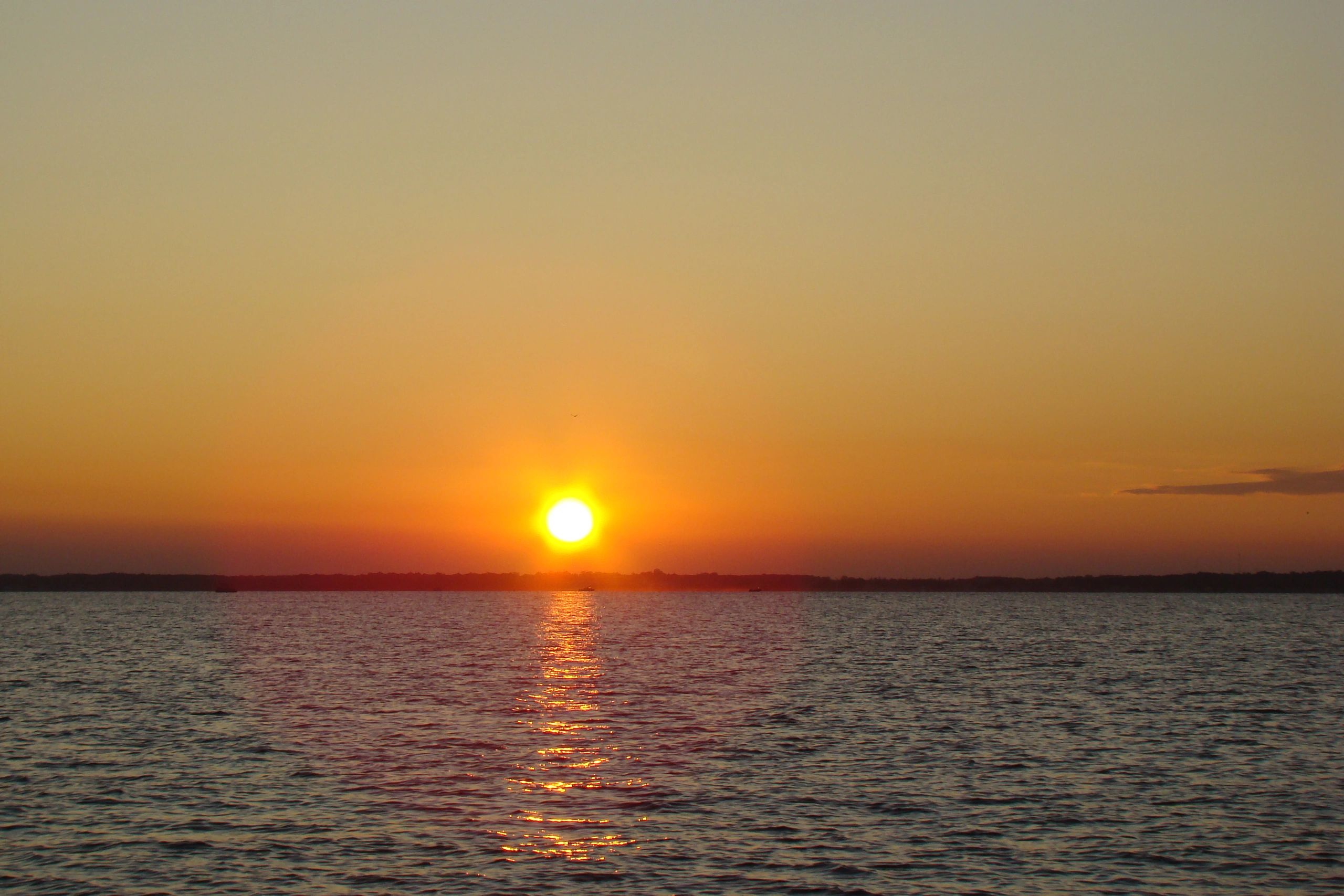 Experience the best boat rides in Back Bay