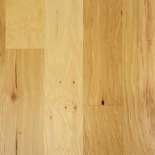 American Collection Hickory