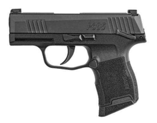 P365 High-Capacity Micro Compact