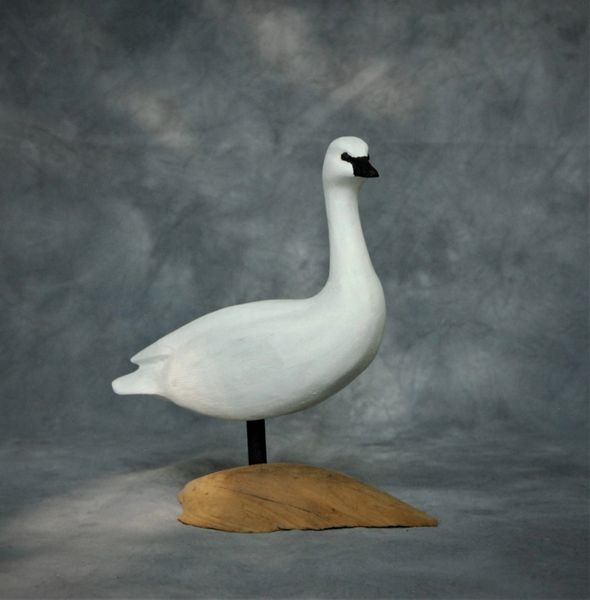 WGS: Swan, Miniature