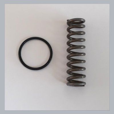 Exhaust Valve Spring & Seal HW100
