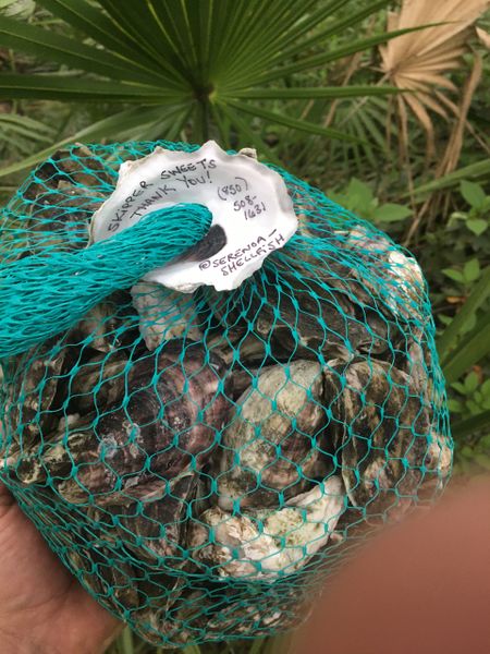 Skipper Sweet - 50 Count