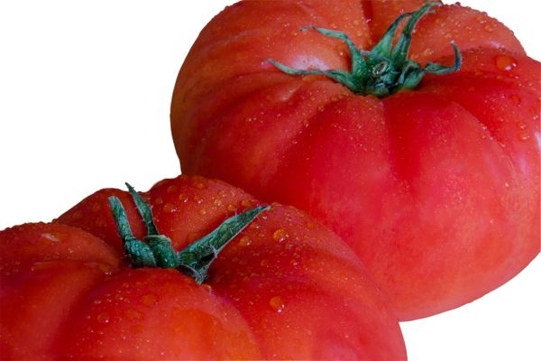 Tomato - Grosse Lisse | Backyard Seeds