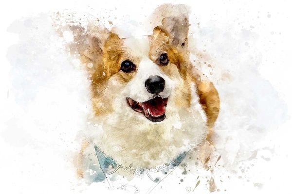 GMG Card Collection: Dogs