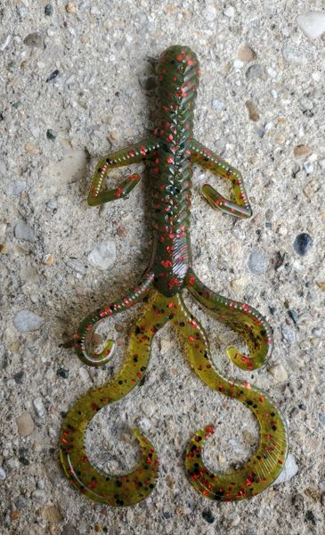 Dragon Bug