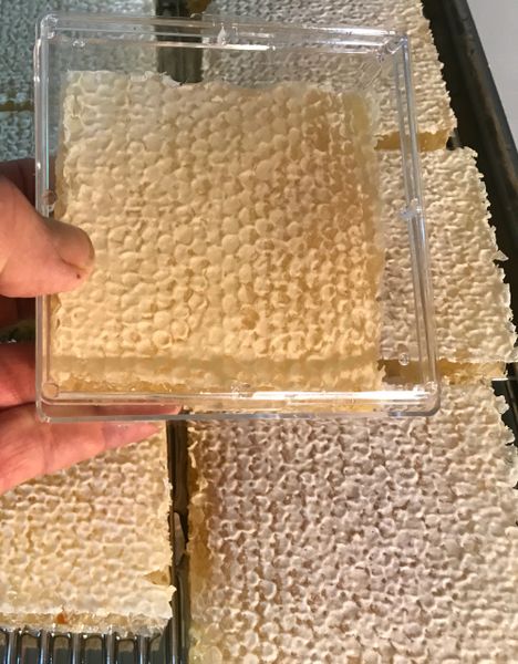 Cut Comb Honey (FALL Harvest)