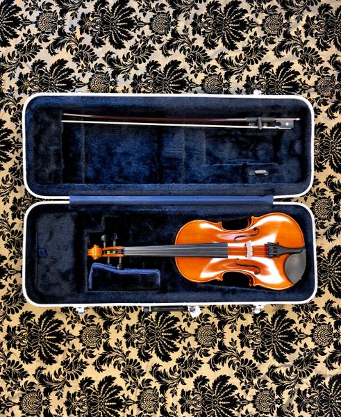 New Strobel 3/4 Violin