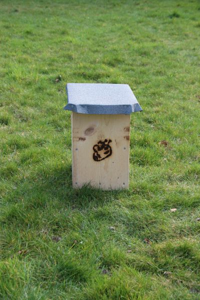 Big Honey Box (shipping included)