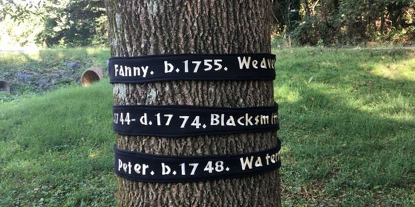 Veronica Jackson | The Jackson Design Group