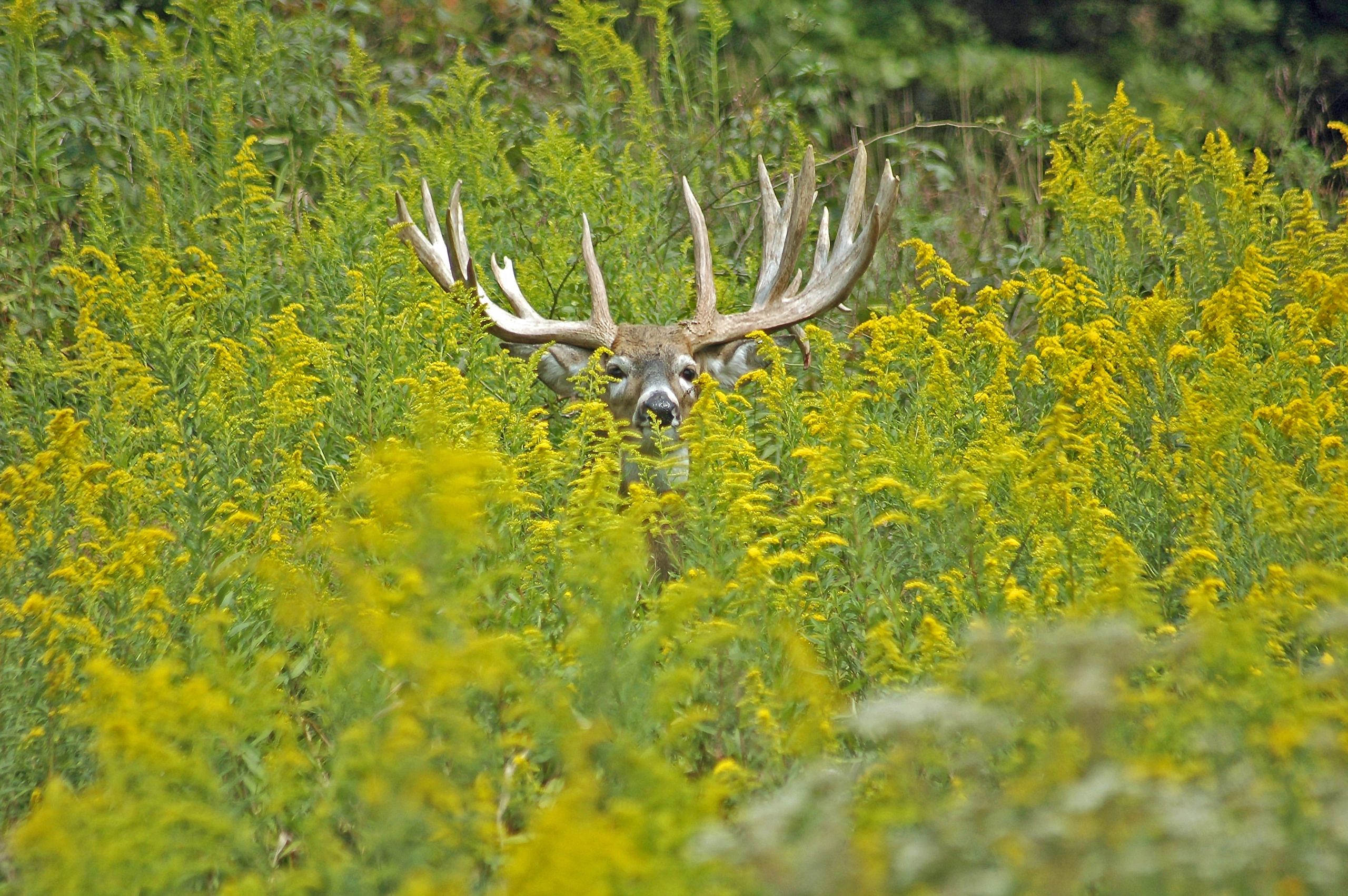 First Class Trophy Ranch