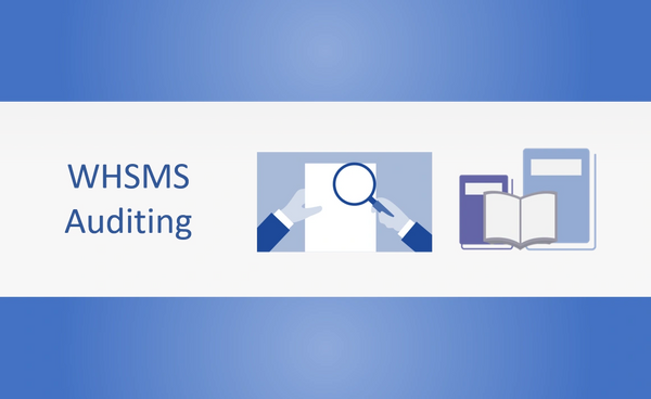 Auditing Procedure - WHS Management System