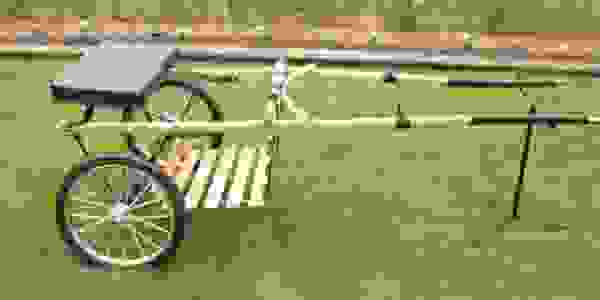 Mini Carts | Sunrise Pony Farm