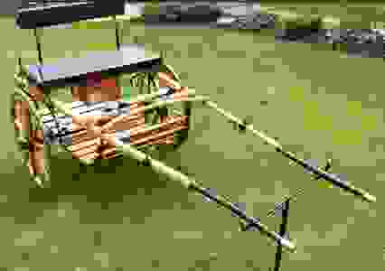 Mini Carts | Sunrise Pony Farm