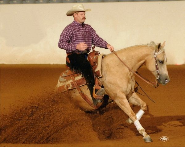 Johnson Performance Horses - Home