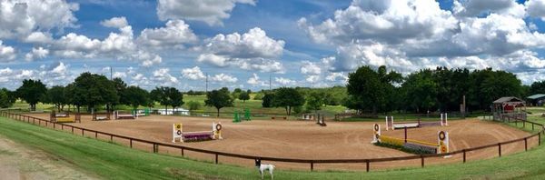 Johnson Performance Horses - Home