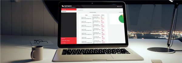 Opengear Lighthouse Management Portal License Software