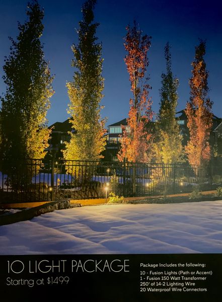 10 Light Package