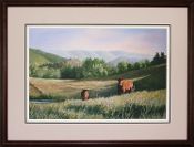 Lost and Found Framed Print