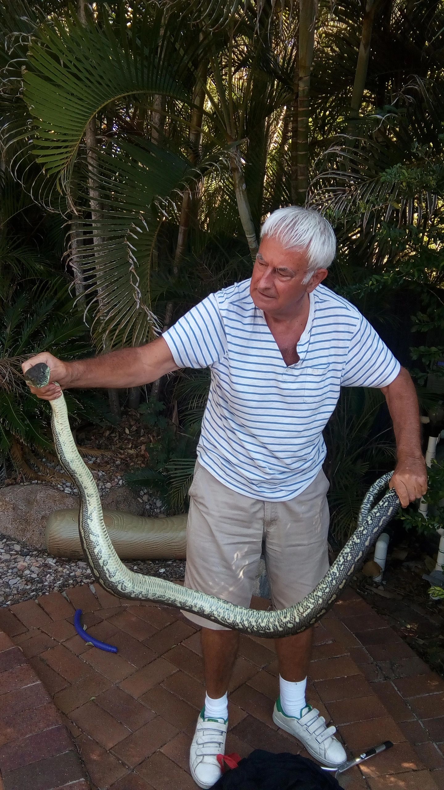 Logan Snake Catcher - Fast Eddie Snakes
