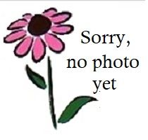 Hosta 'Con Te Partiro'