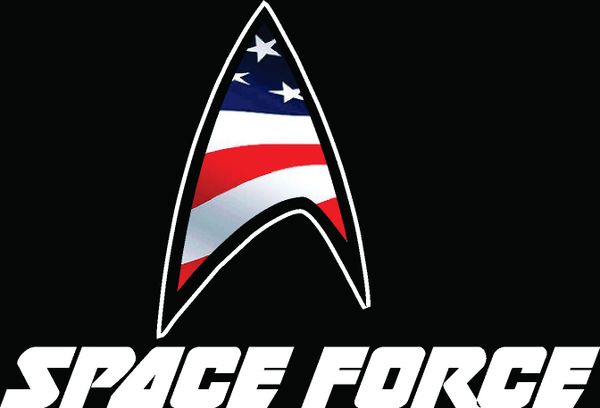 SPACE FORCE DECAL