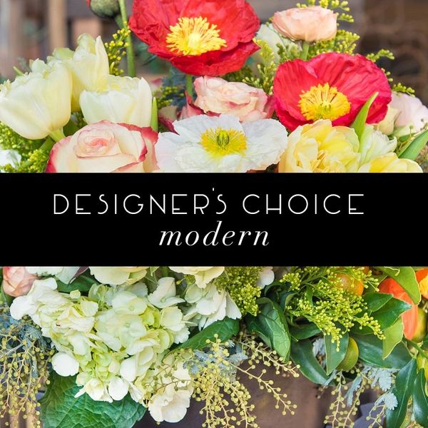 Designer's Choice Modern