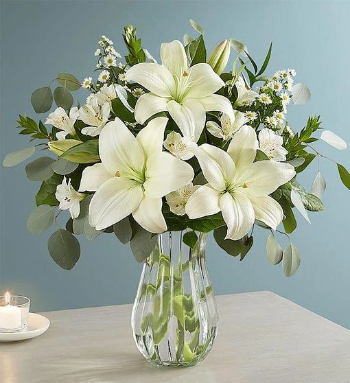 White Lily For Sympathy