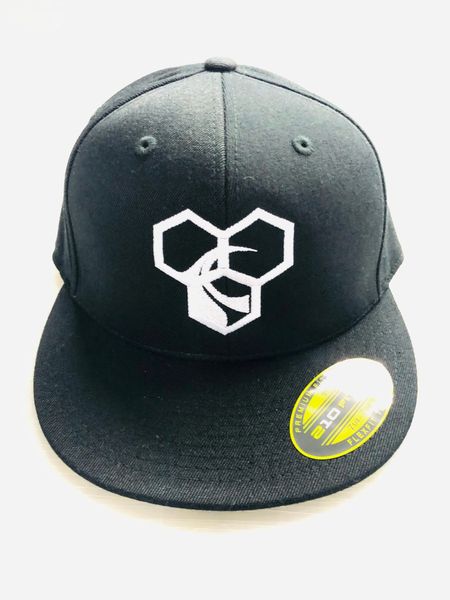 Epic 2020 Black Icon hat