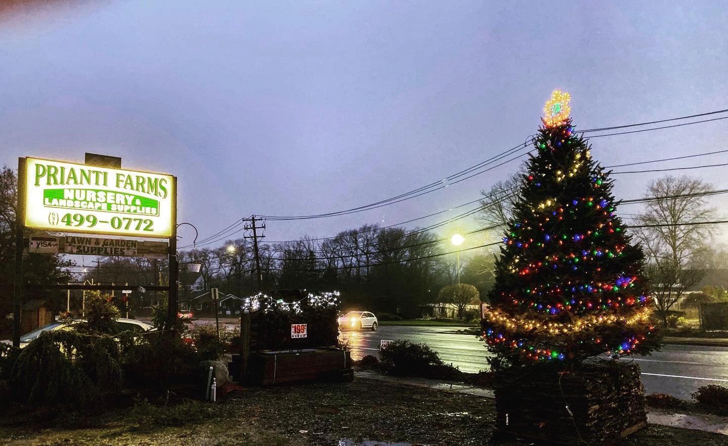 PRIANTI FARMS INC - Nursery, Garden Center, Nursery, Flowers