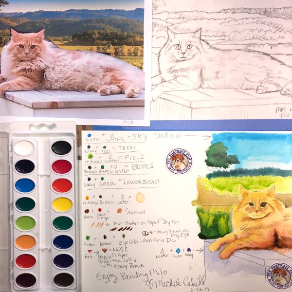 DIY Pet Portrait Fun Kit
