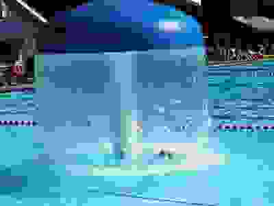 Welcome | Montclair Beach Club