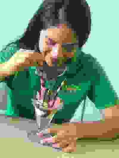 Goma de Konjac | Maprysa