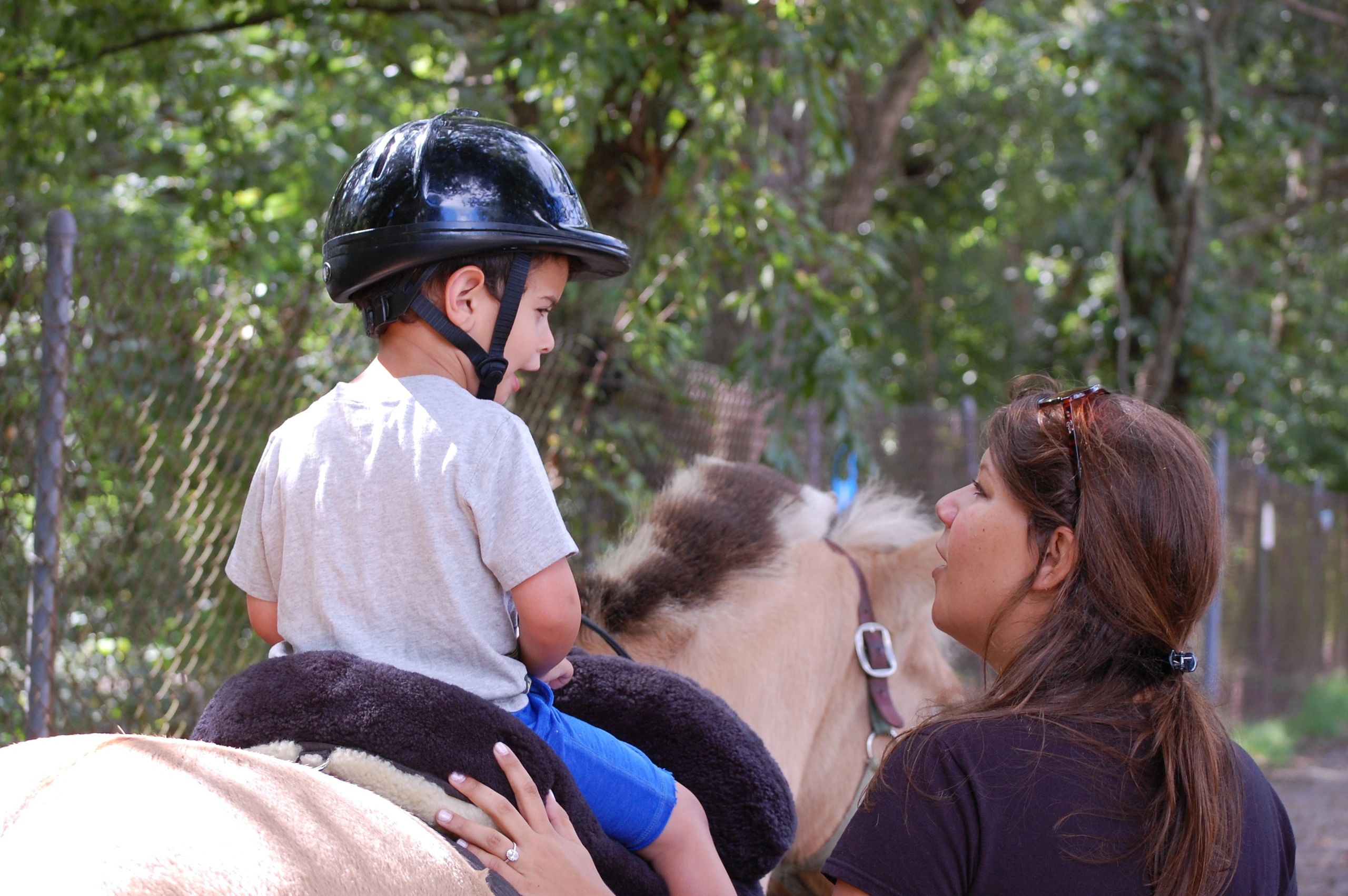 Hippotherapy as a Speech Therapy Treatment Strategy: Language