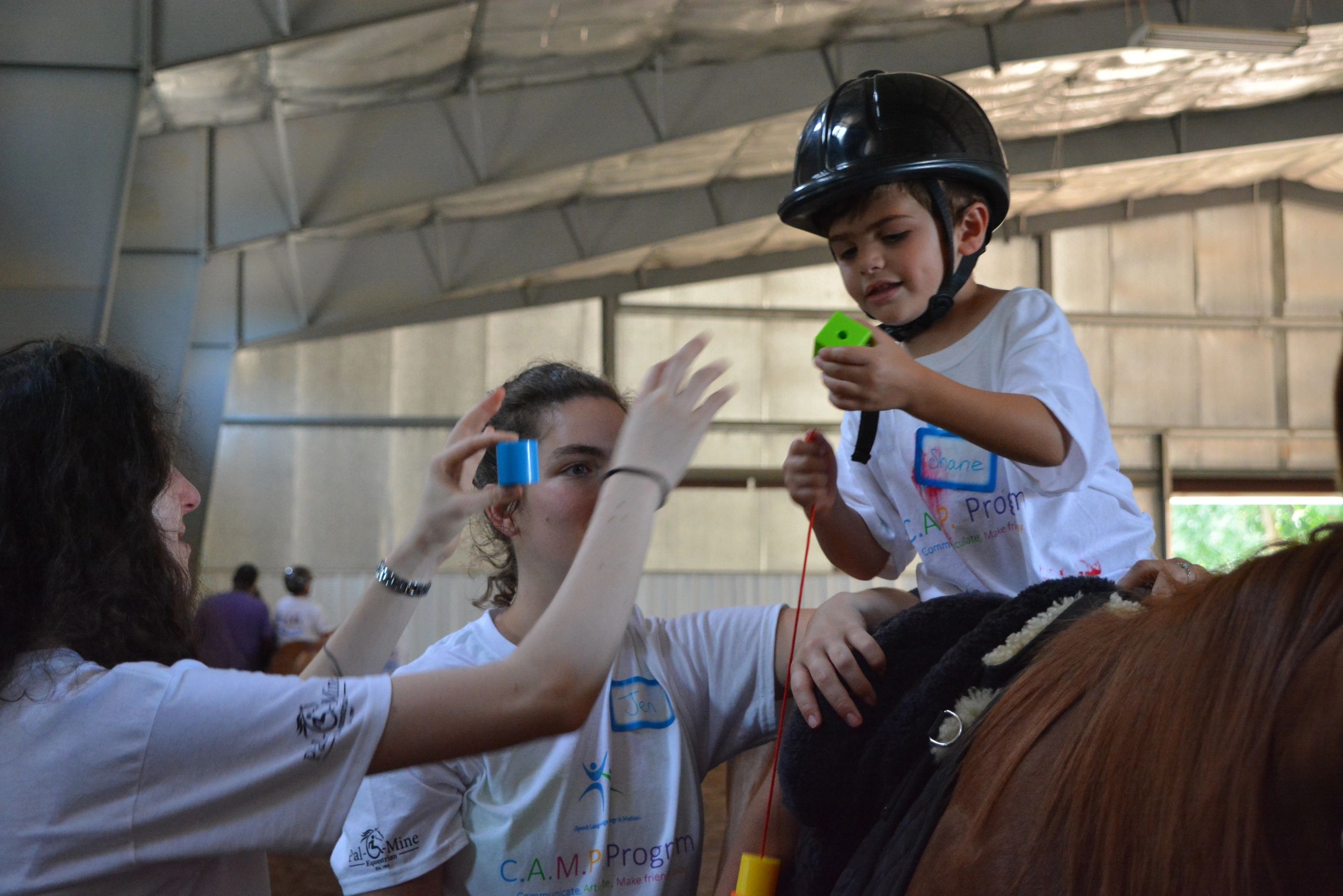 Hippotherapy as a Speech Therapy Treatment Strategy: Articulation